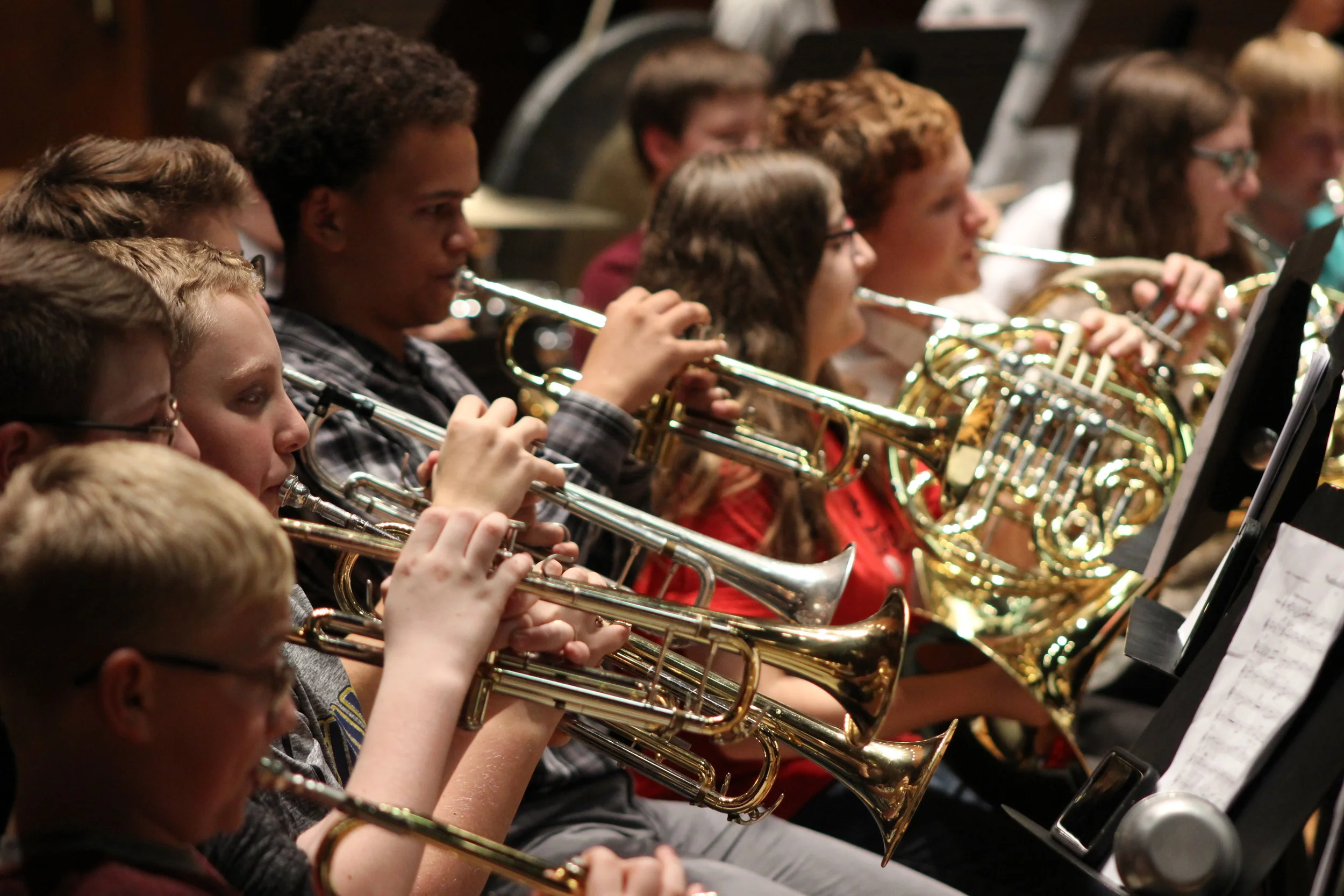 Concert Festival — Illinois Music Education Association