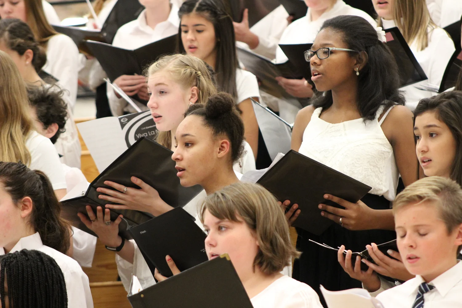 Concert Festival — Illinois Music Education Association