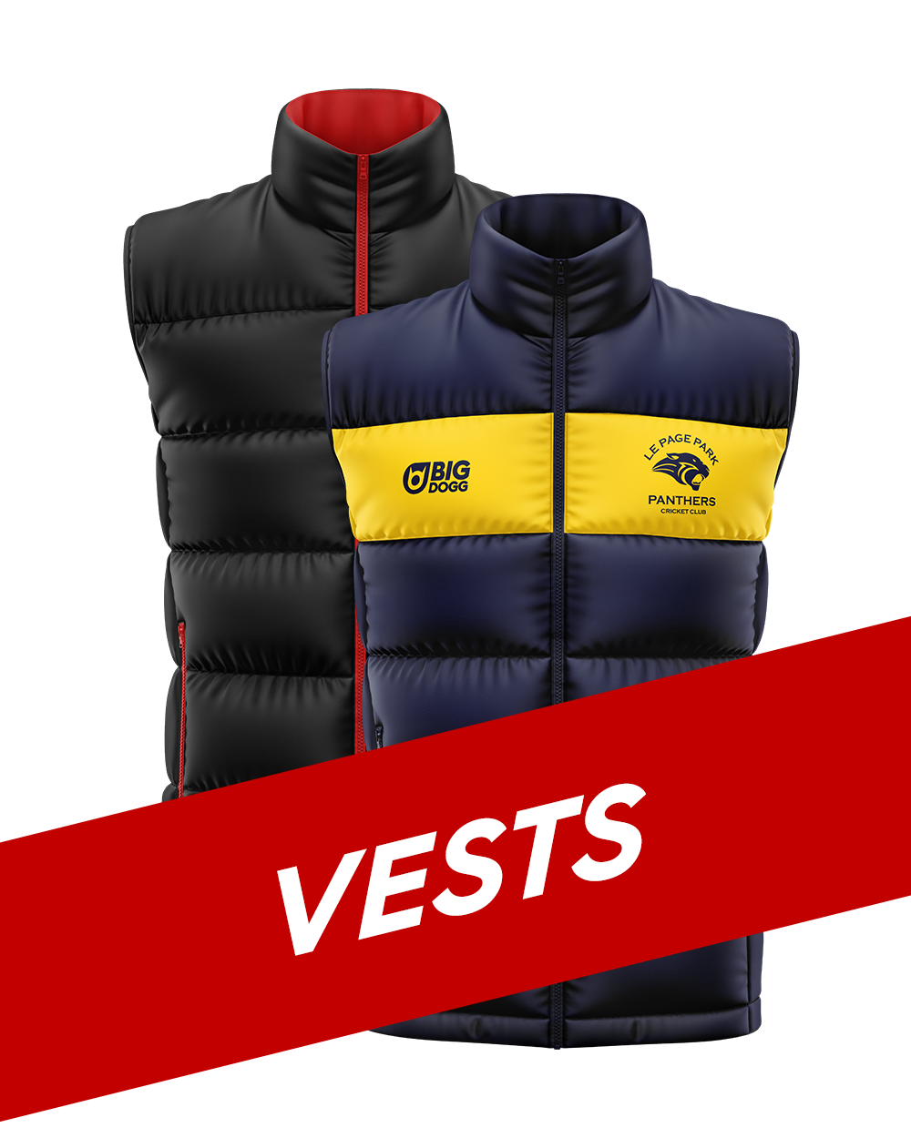 CORP GAMES — Big Dogg