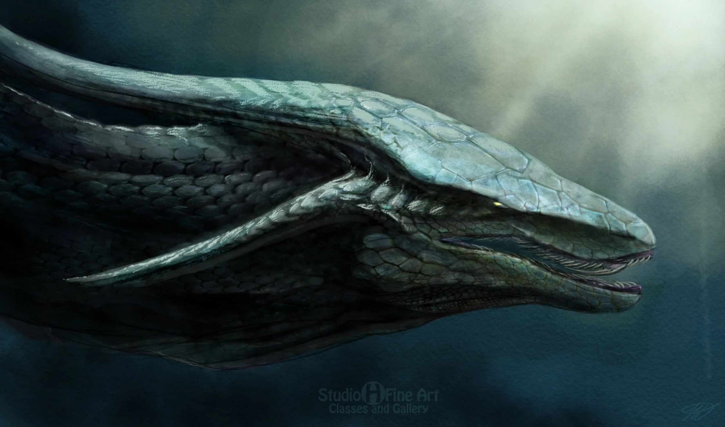 Portfolio — Mari Takeyama