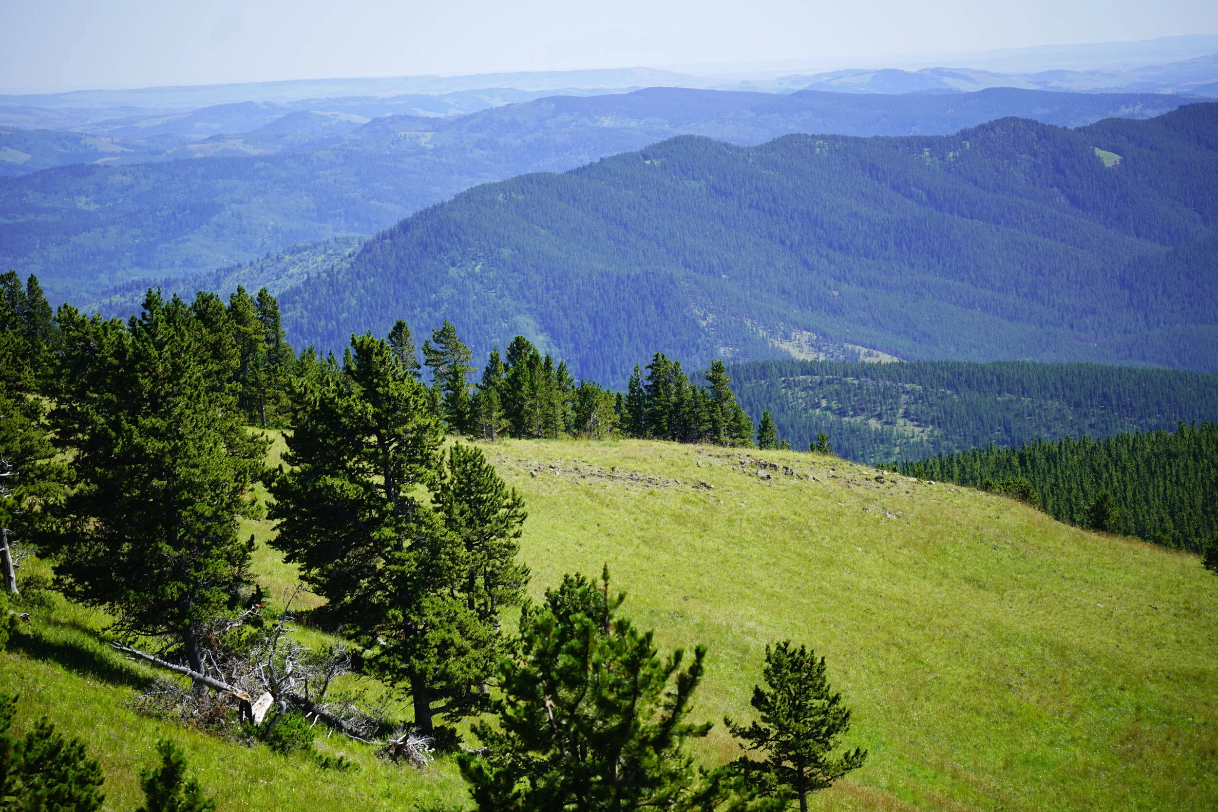 About Gilbertine Academy — Gilbertine Academy