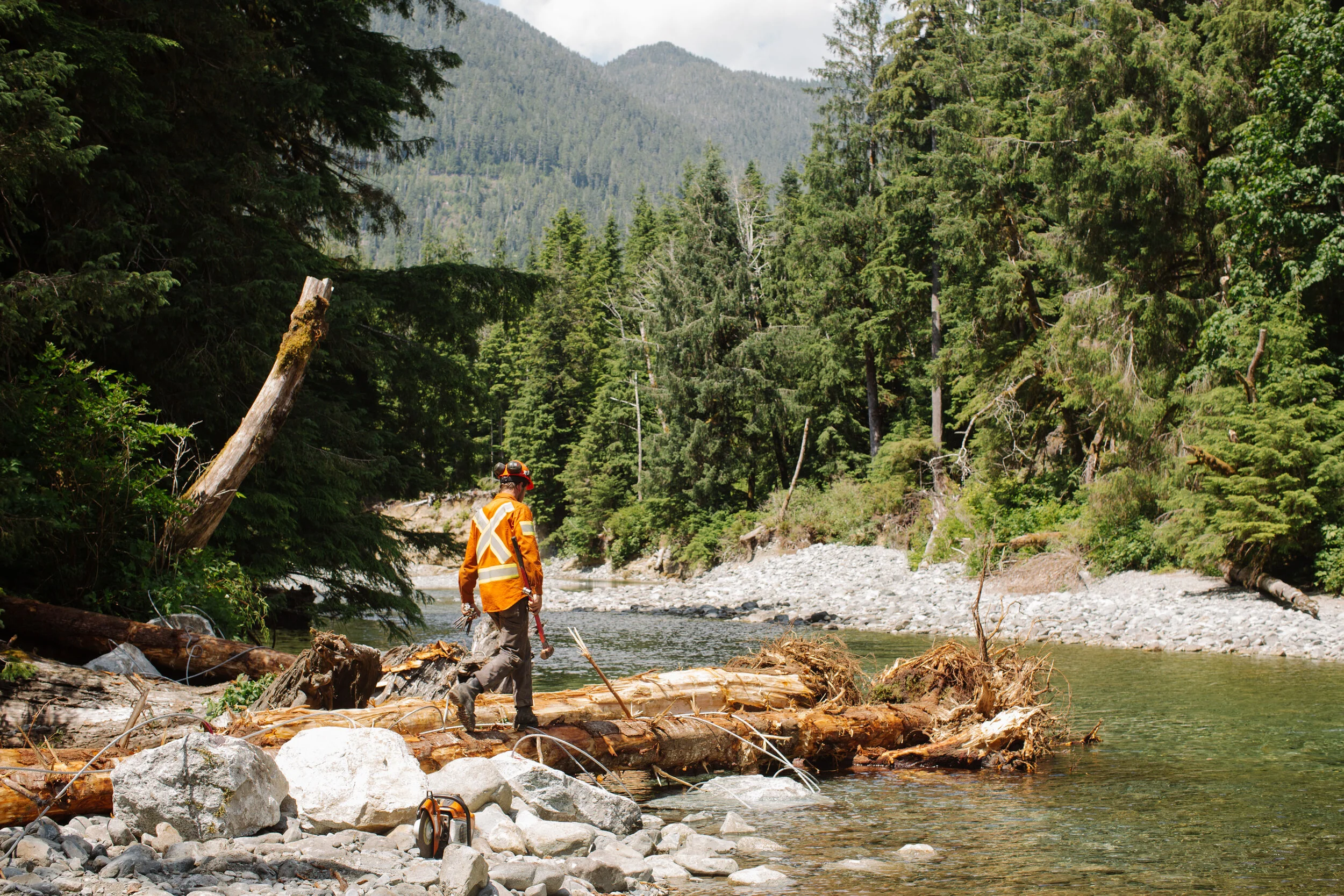 Environmental Services — Redd Fish Restoration Society