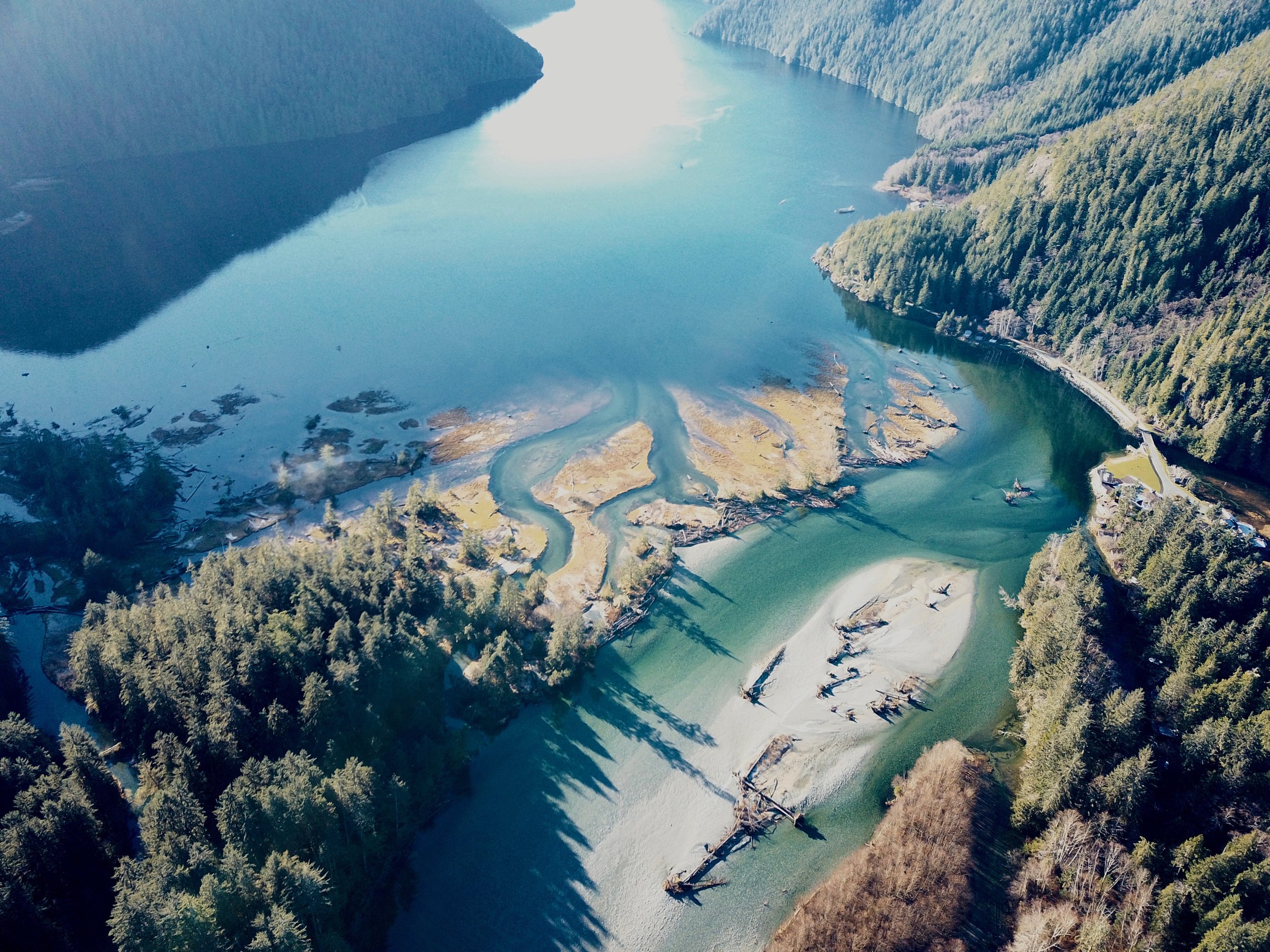 Initiatives — Redd Fish Restoration Society