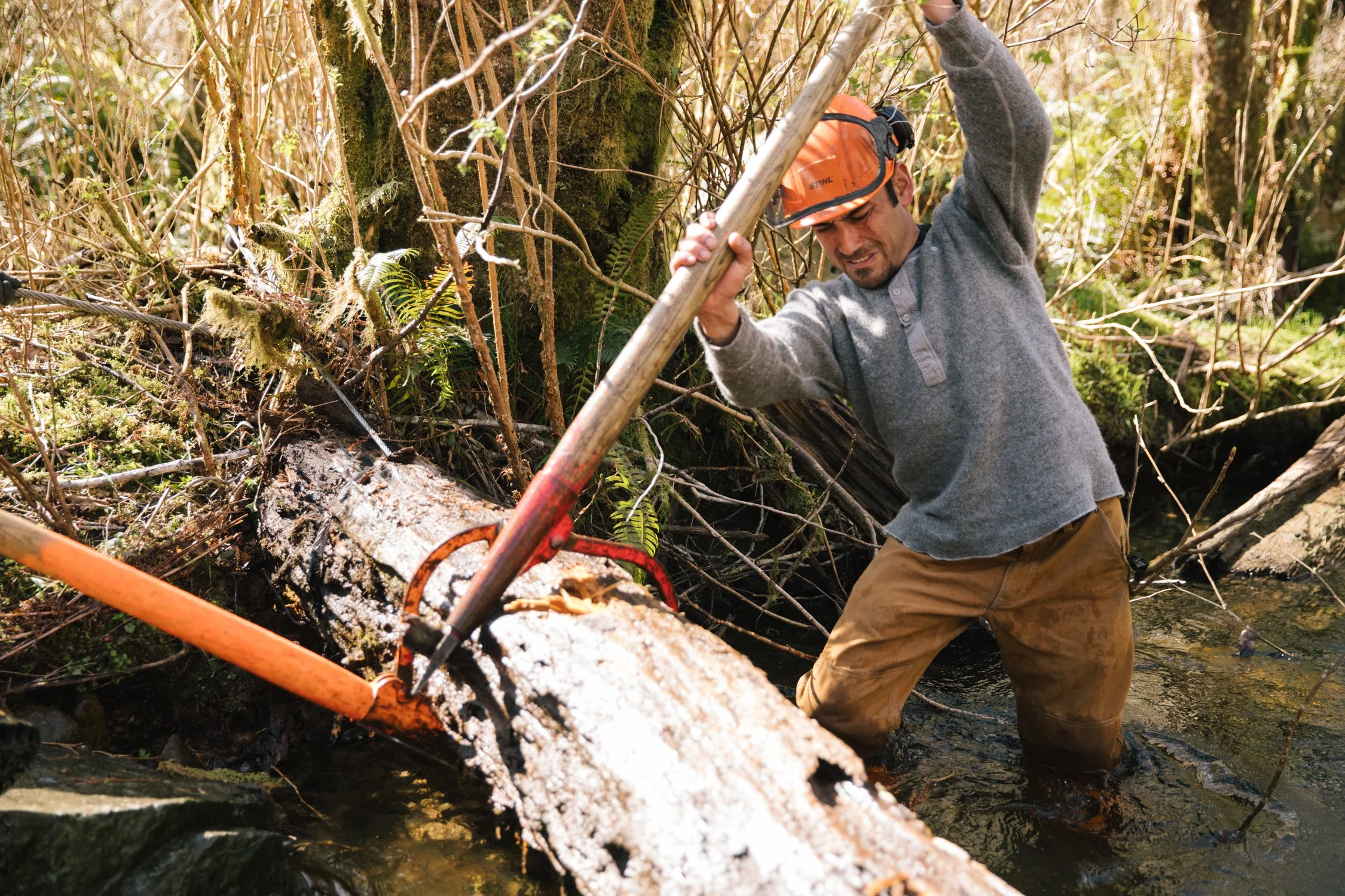 About — Redd Fish Restoration Society