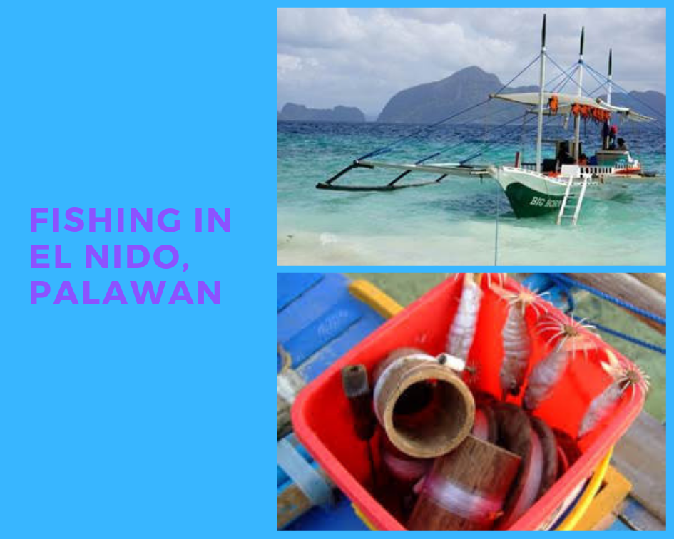 El Nido Tours A, B, C, D - Island Hopping Tours in El Nido