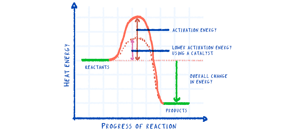 Tricky Topics #6 - Catalysts — Tassomai