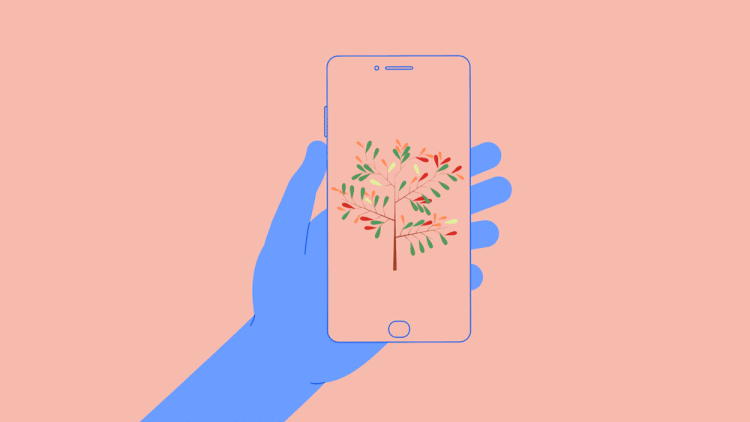 This Christmas we are turning virtual trees into real trees! — Tassomai