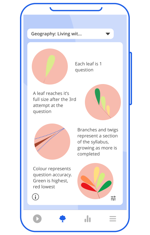 GCSE geography revision and learning app — Tassomai
