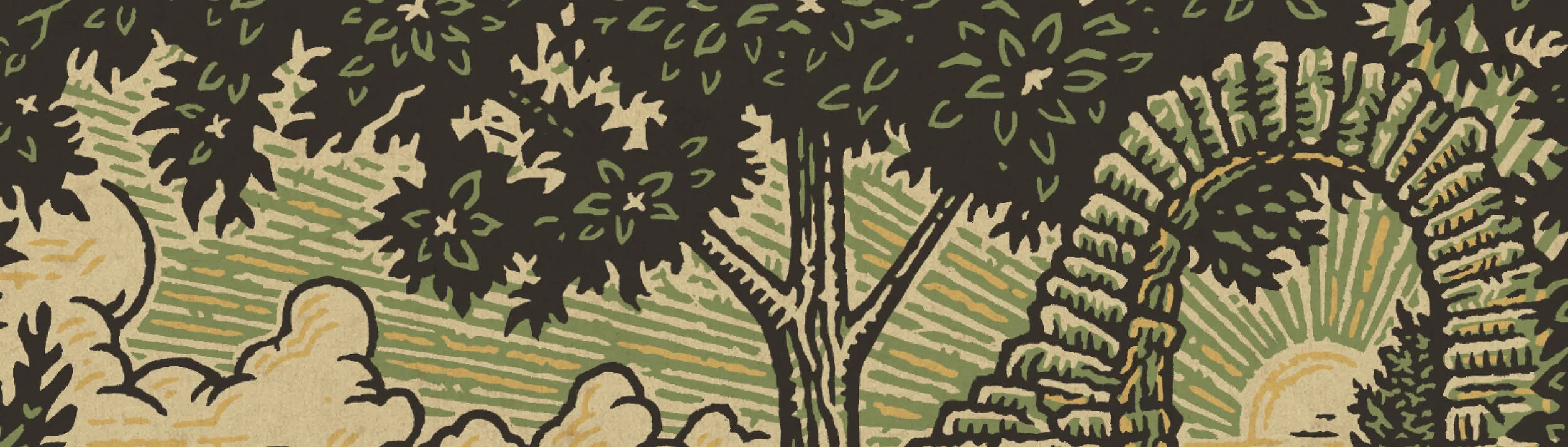 The God of the Garden - New Book by Andrew Peterson — Andrew Peterson