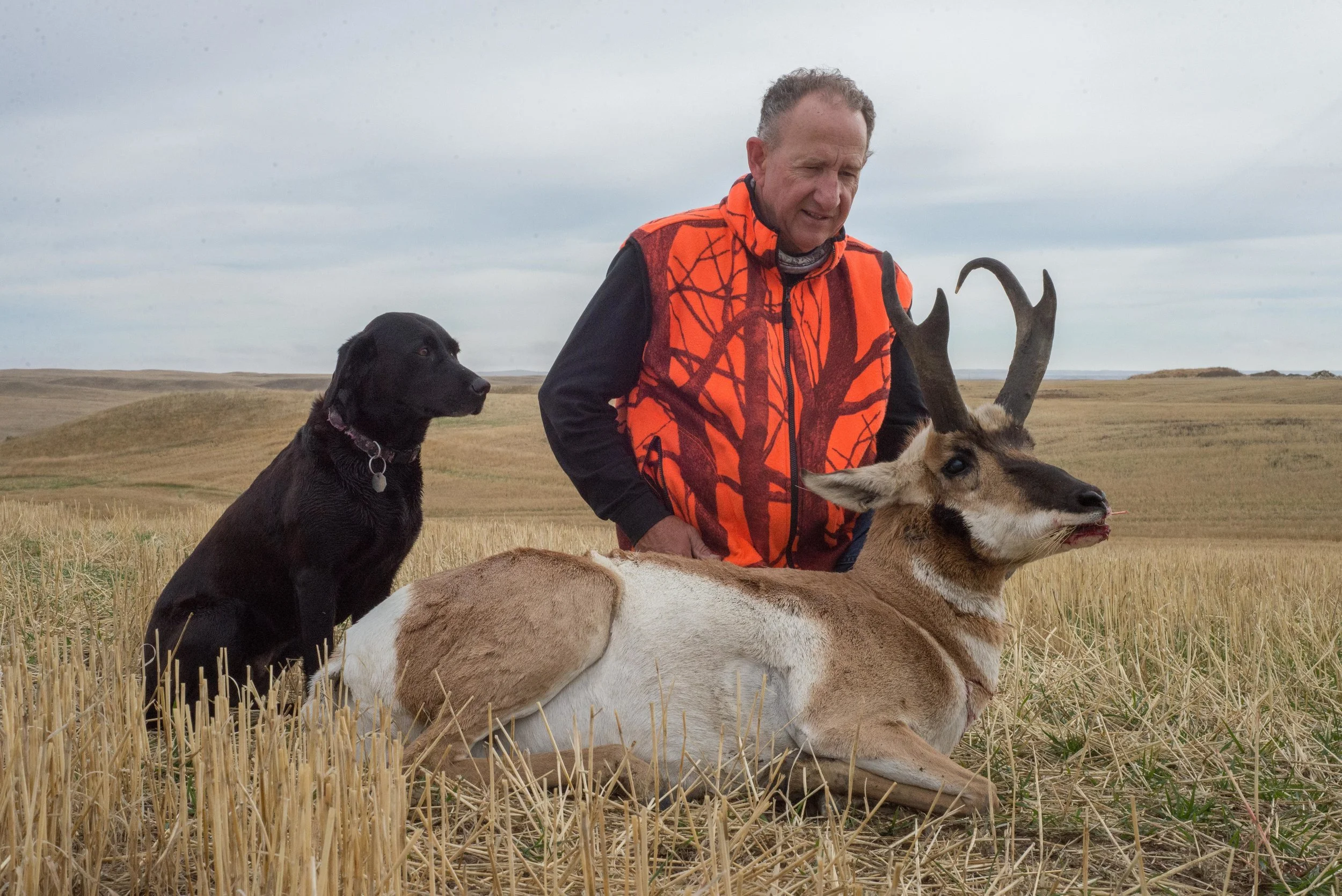 Guided Antelope Hunts — Montana Big Game Outfitters