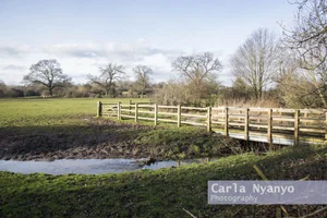 Further along Coundon Wedge — Carla Nyanyo