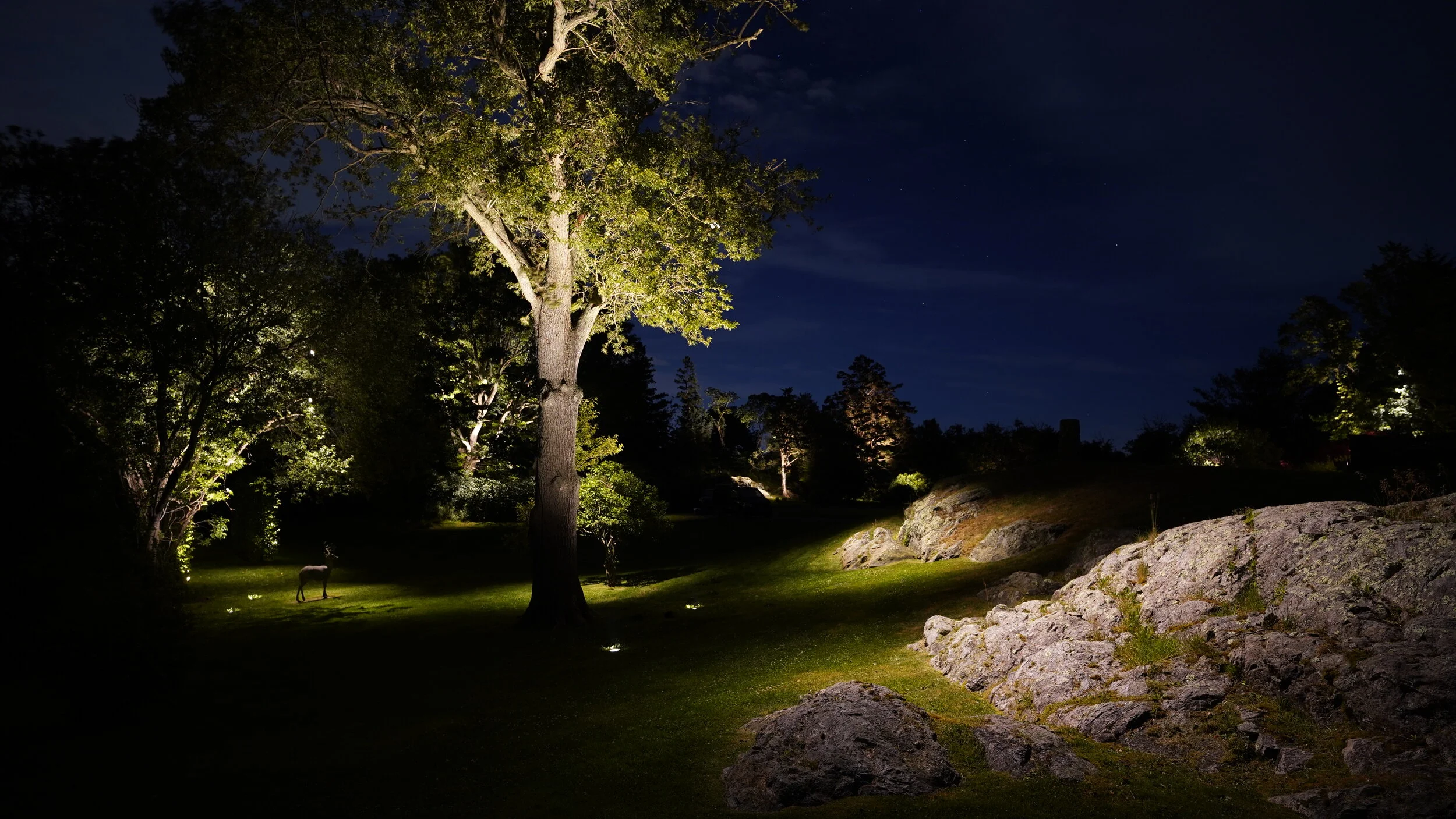 Luminism Design | Landscape Lighting