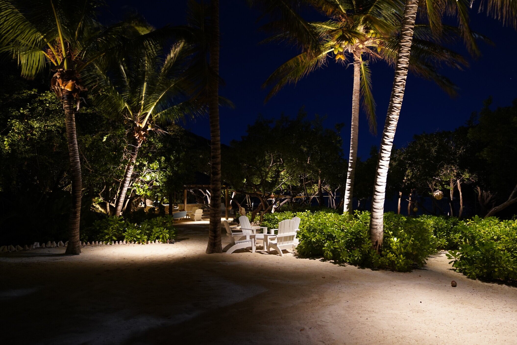 Luminism Design | Landscape Lighting