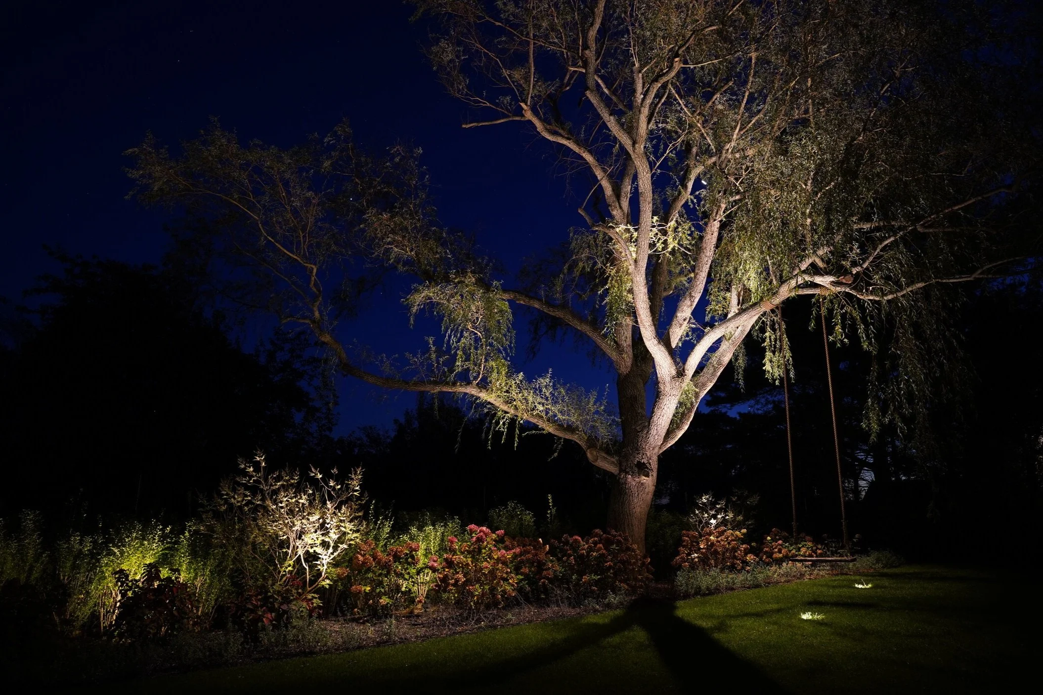 Luminism Design | Landscape Lighting
