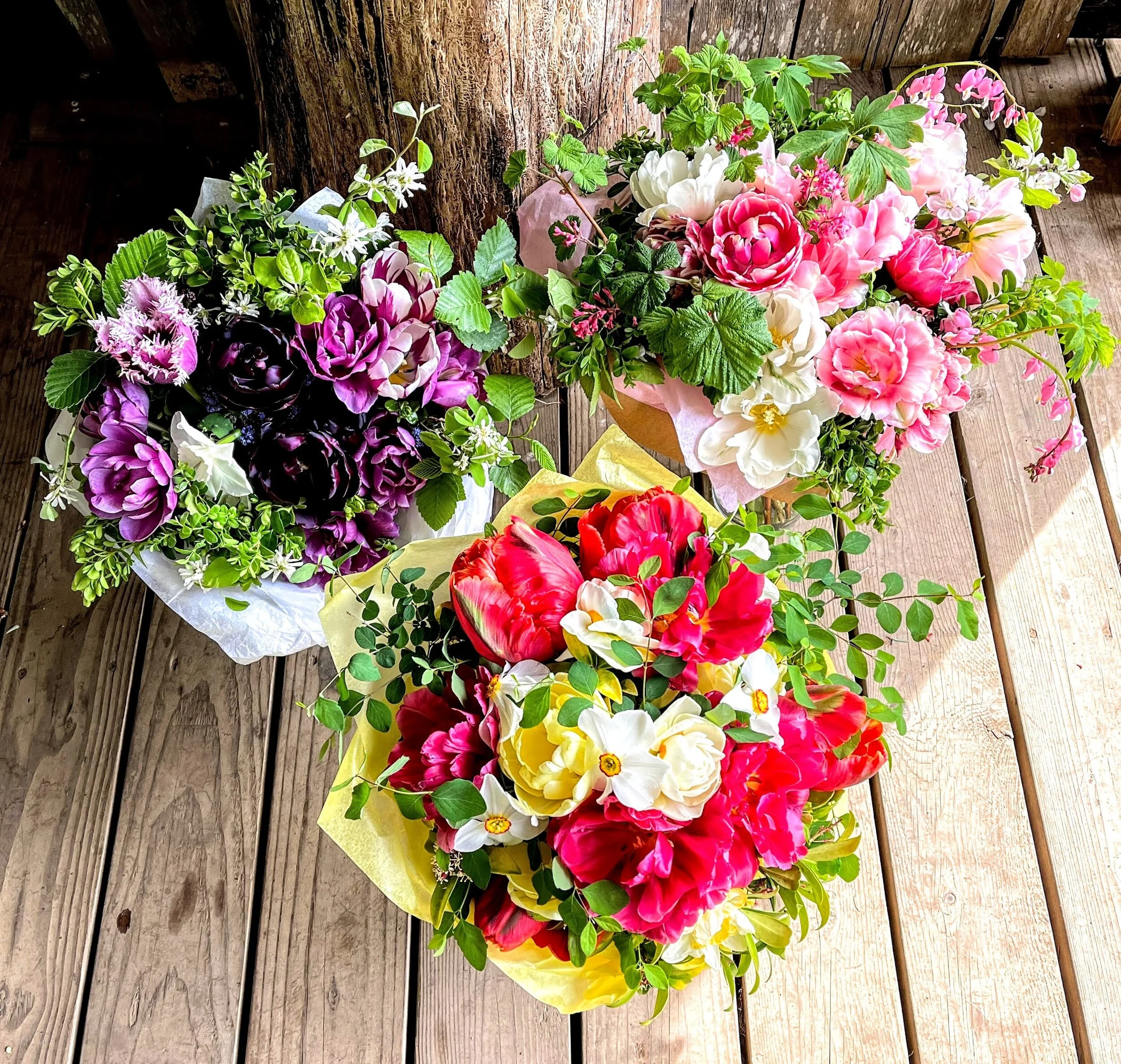 Shop — ROBYN HOOD FARM
