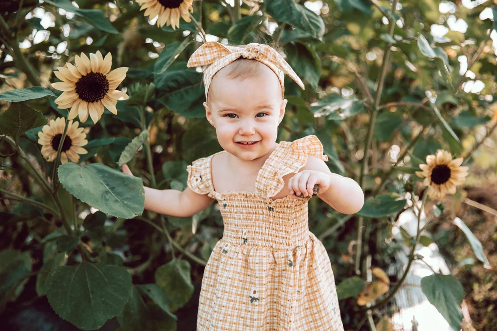 Blooms and Smiles: A Review of Sunflower Minis at Stem and Light ...