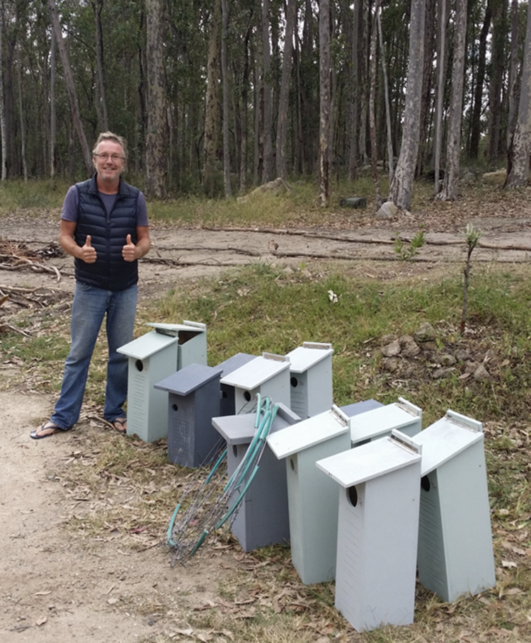 Nestboxes - Science Week 21 — Atlas of Life