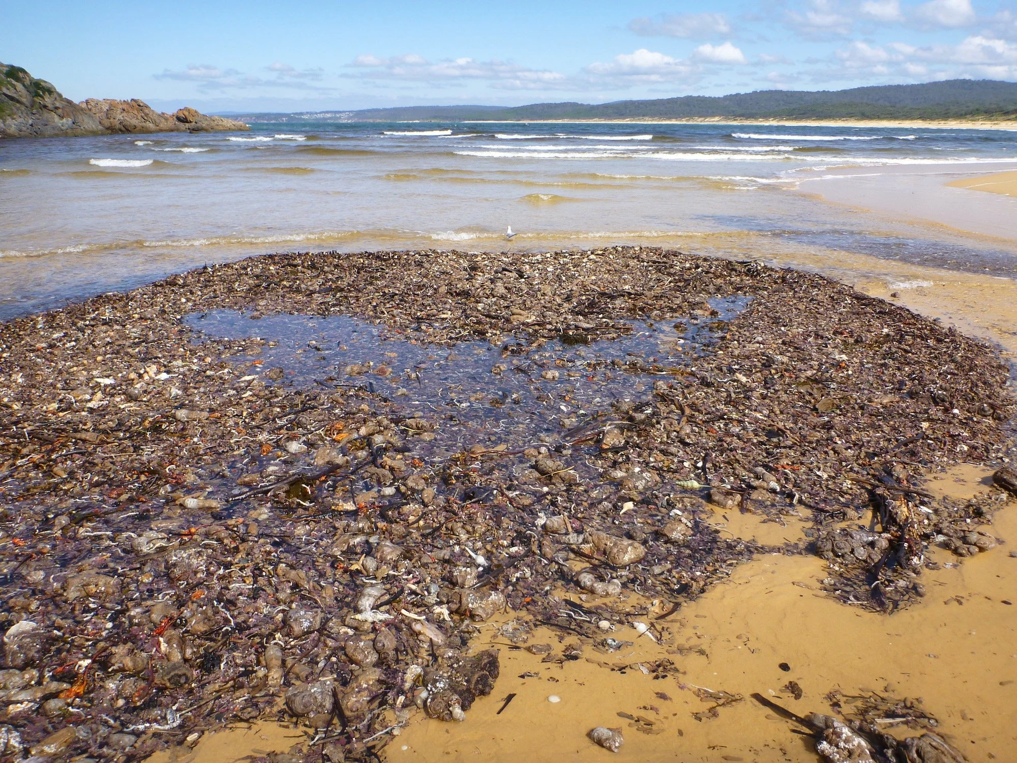 Storm Strands - Wallagoot Beach, Bournda National Park, 5th April 2022 ...