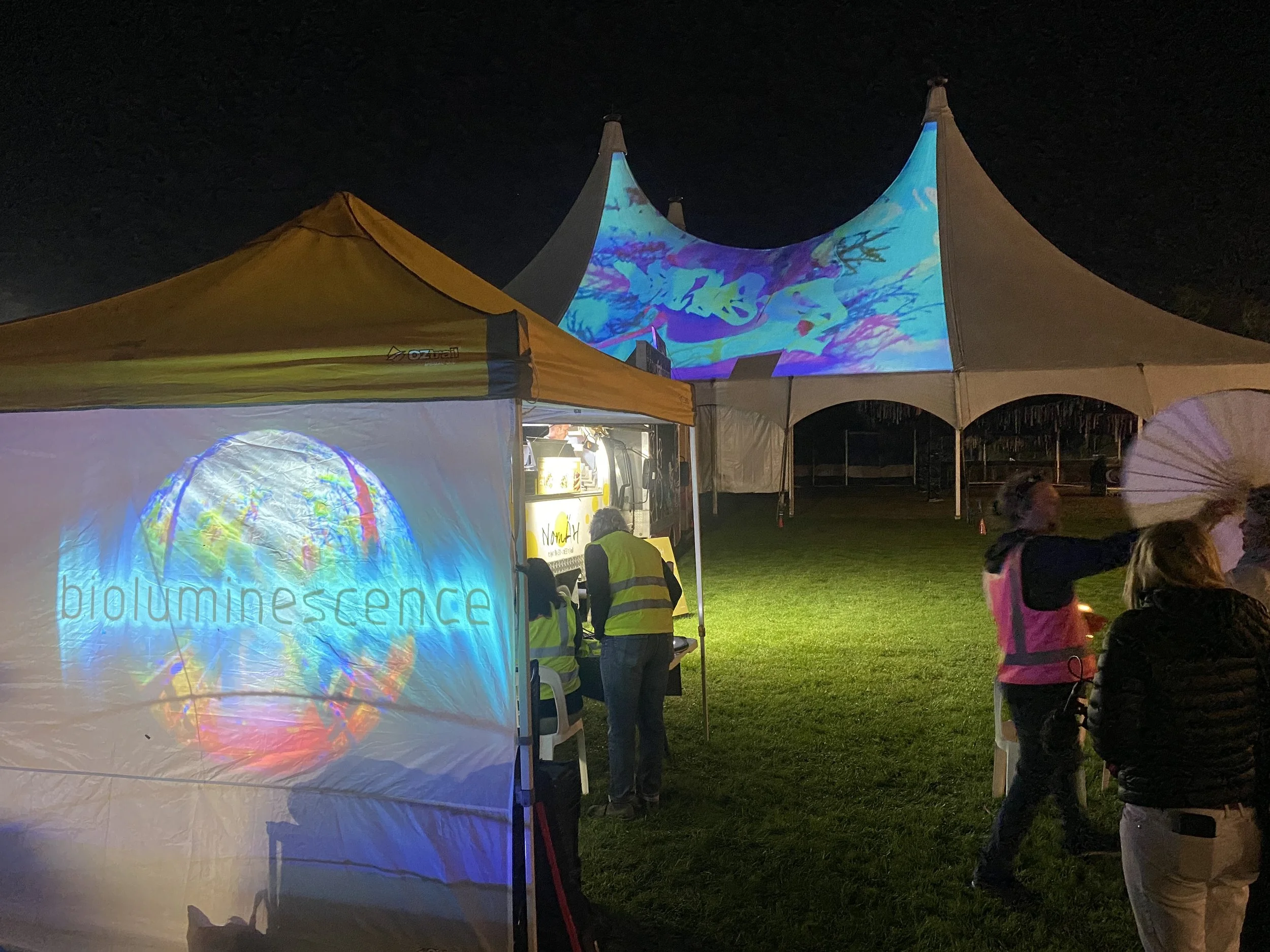 Special projects - Bioluminescence — Atlas of Life