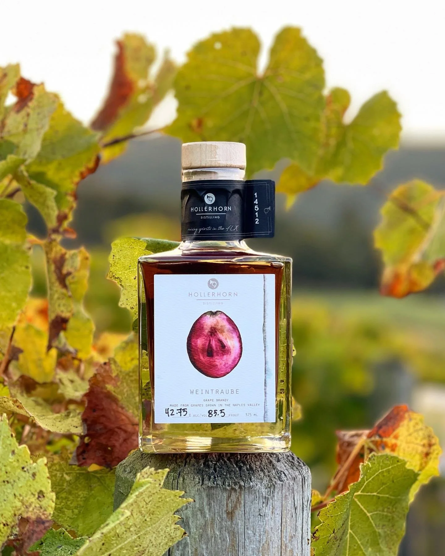 Hollerhorn Distilling