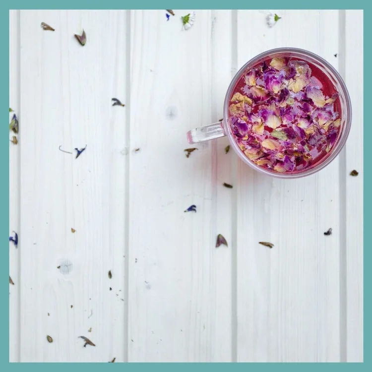 The Mindful Dietitian