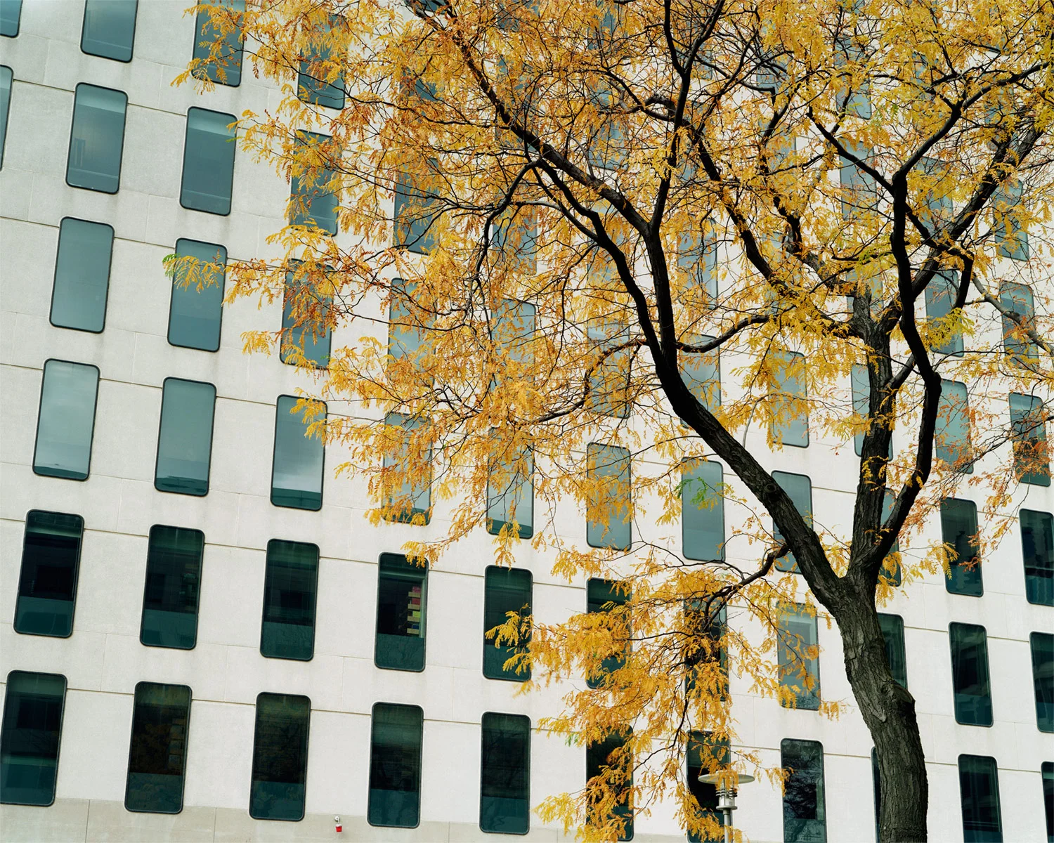 environmental and landscape photos by Boston architectural photographer ...