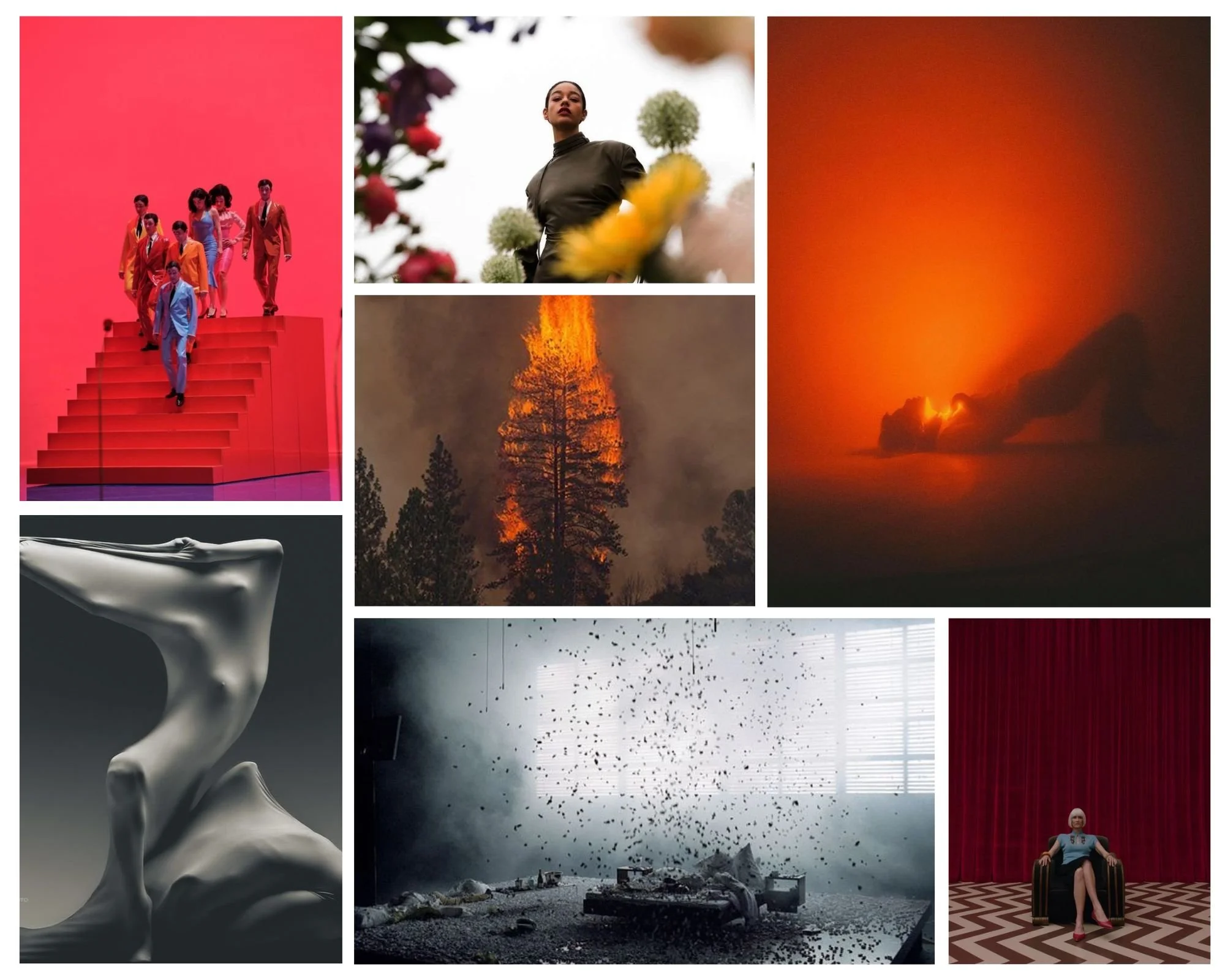 Conservation — KELLY ASHTON TODD