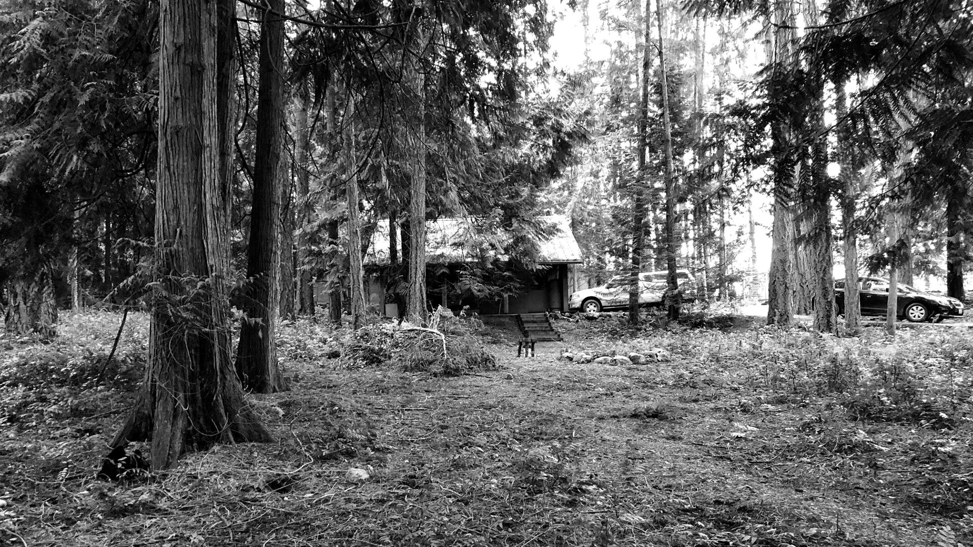 Killarney Residence — Kevin Reeves Architect PLLC