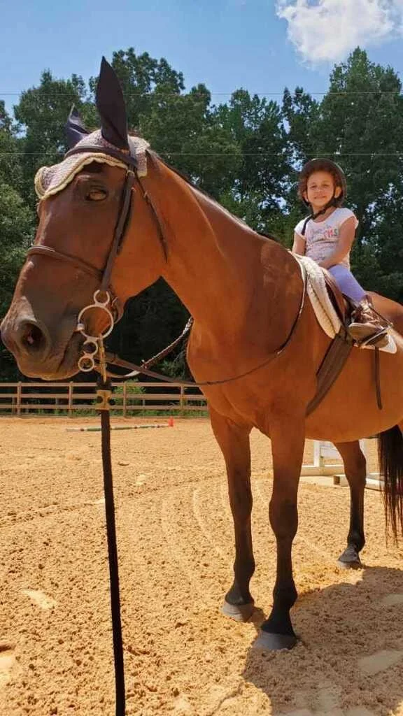 CAMPS AND PARTIES — Emerald Leaf Stables