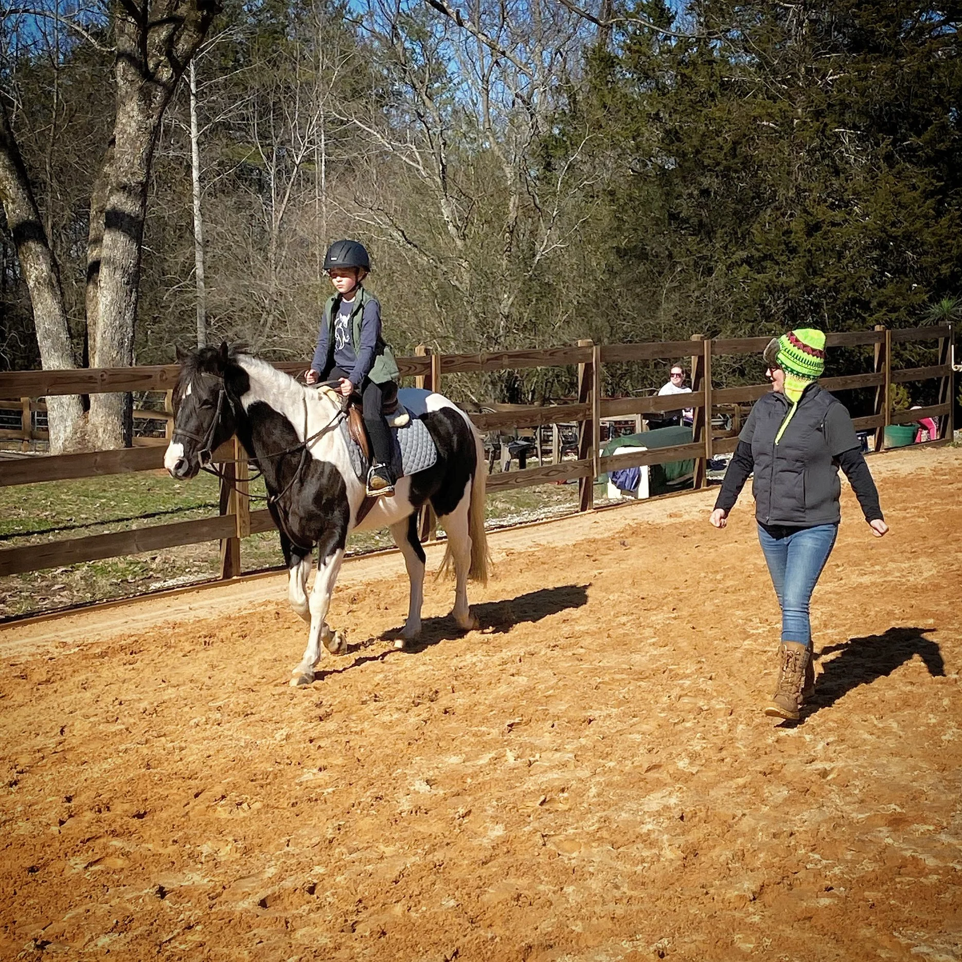 TRAINERS — Emerald Leaf Stables