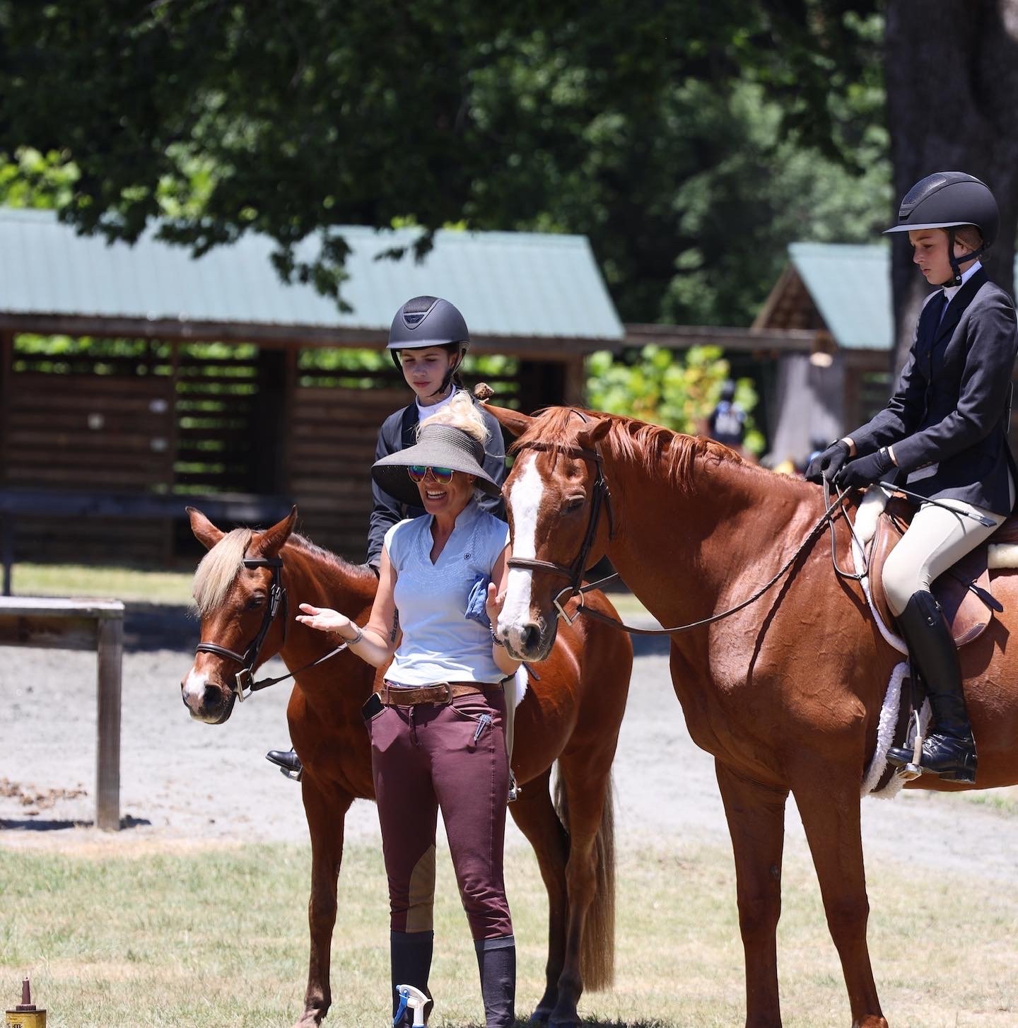SHOWS/IEA — Emerald Leaf Stables