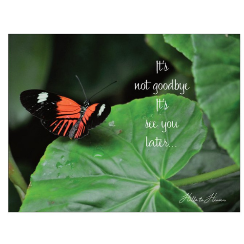 It's Not Goodbye Magnet・From Hello to Heaven