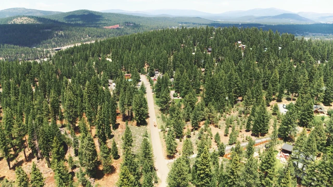 Defensible Space — Truckee Fire Protection District