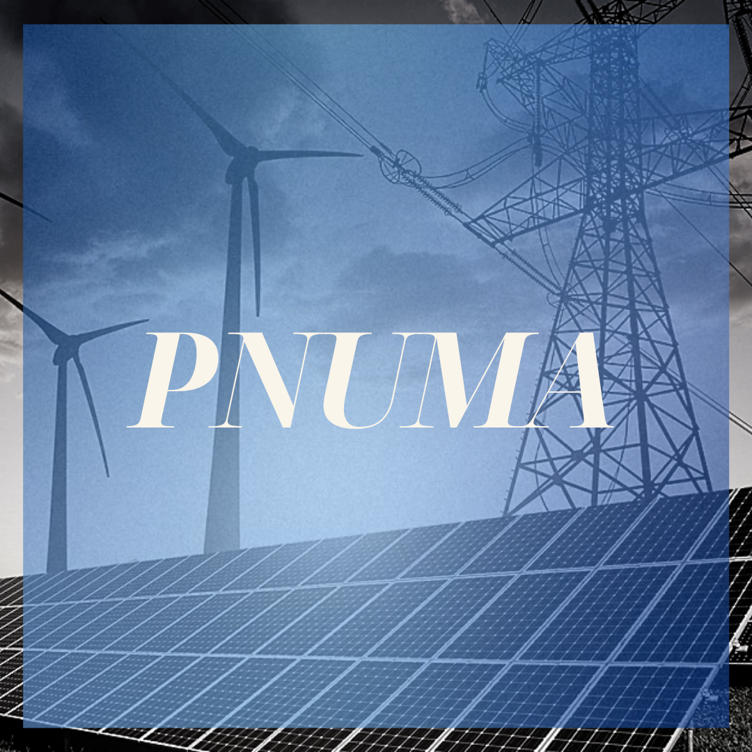 COMMITTEES — AISMUN XIX 2023