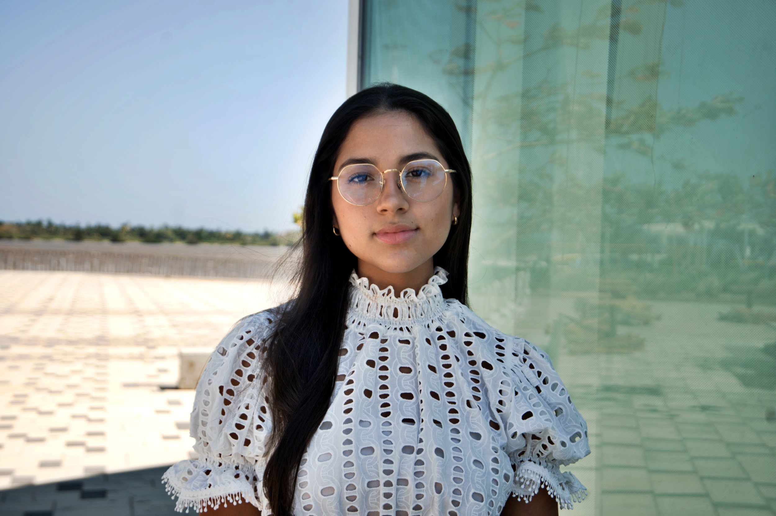 DISEC — AISMUN XIX 2023