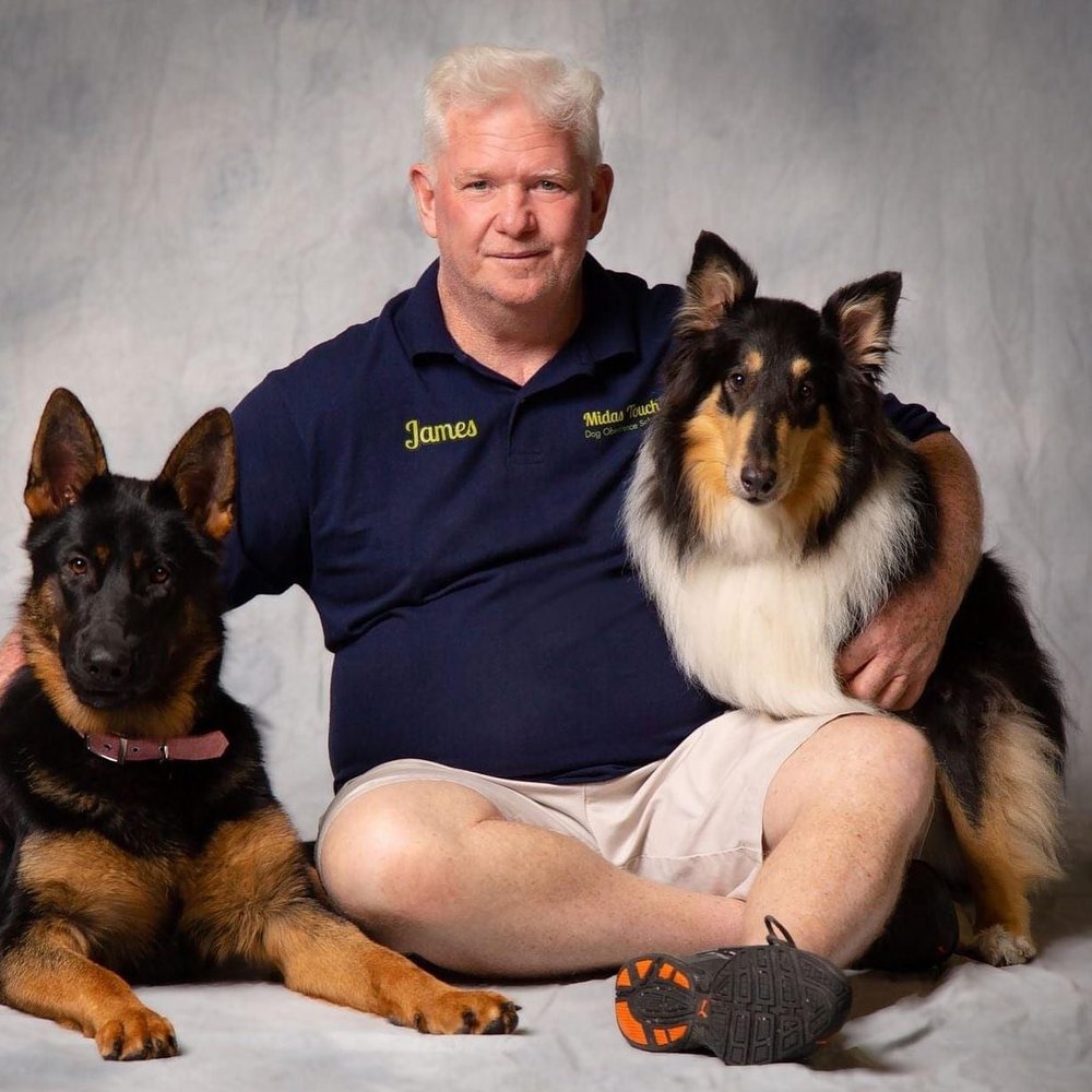 The hands-on association of pet dog trainers.