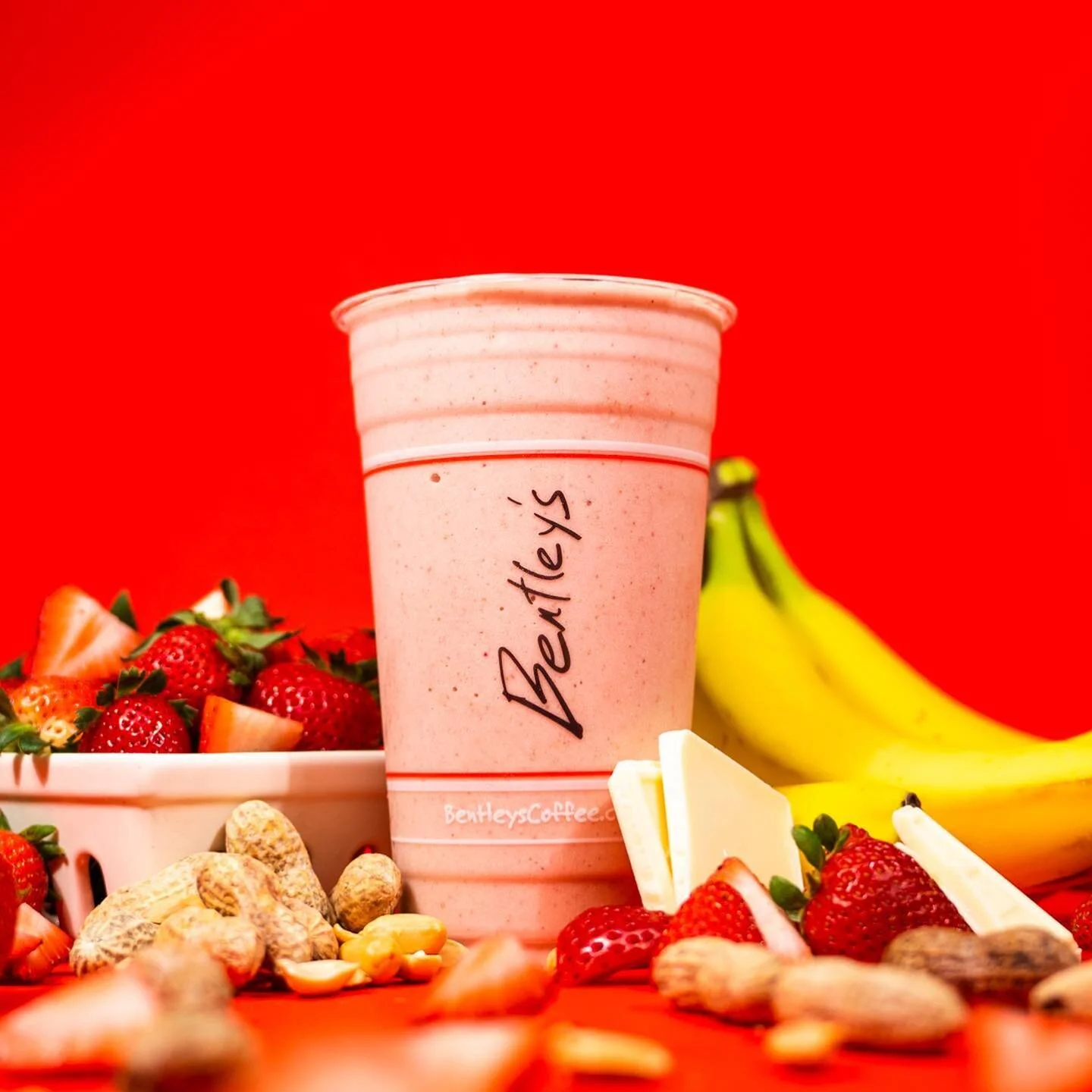 Contact — Welcome to Bentley's