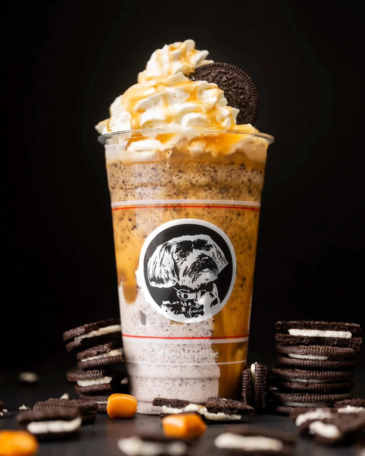 Welcome to Bentley's