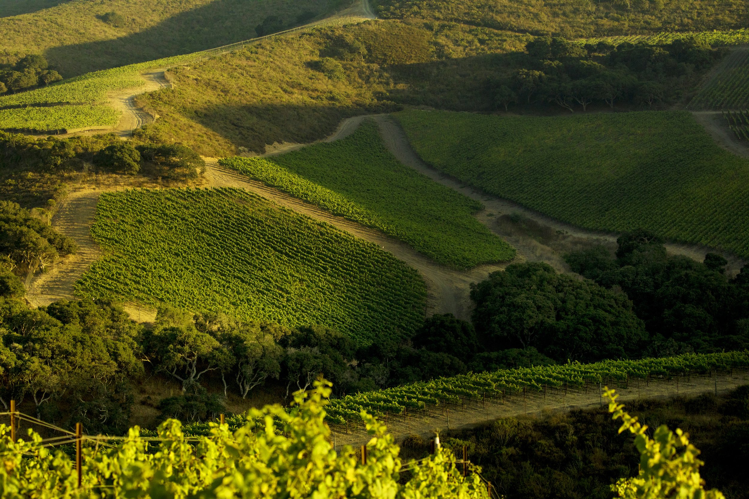 JONATA - The Hilt Estate Wine Dinner — The Restaurant at 1900