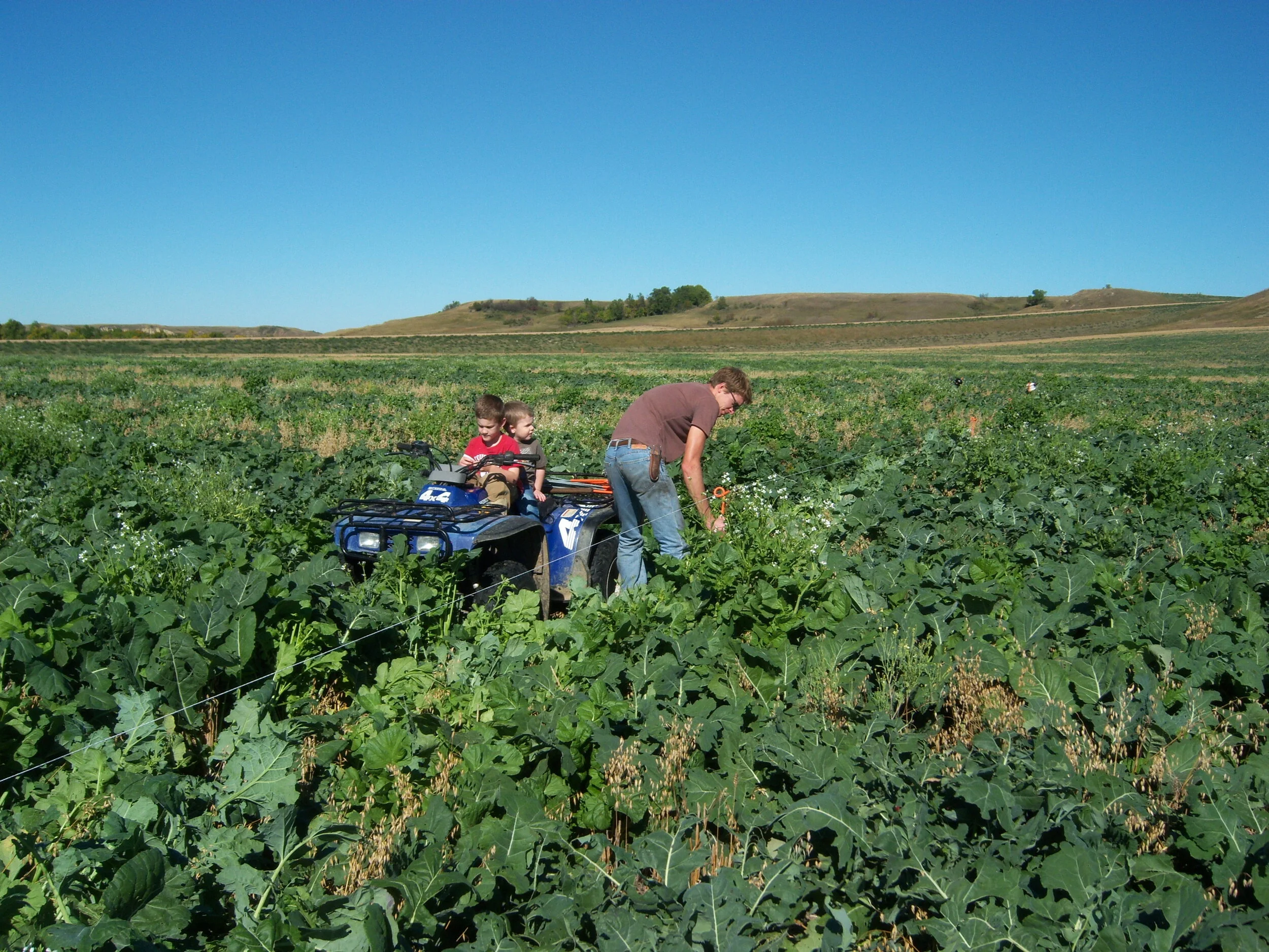 Gallery — Messer Family Farm