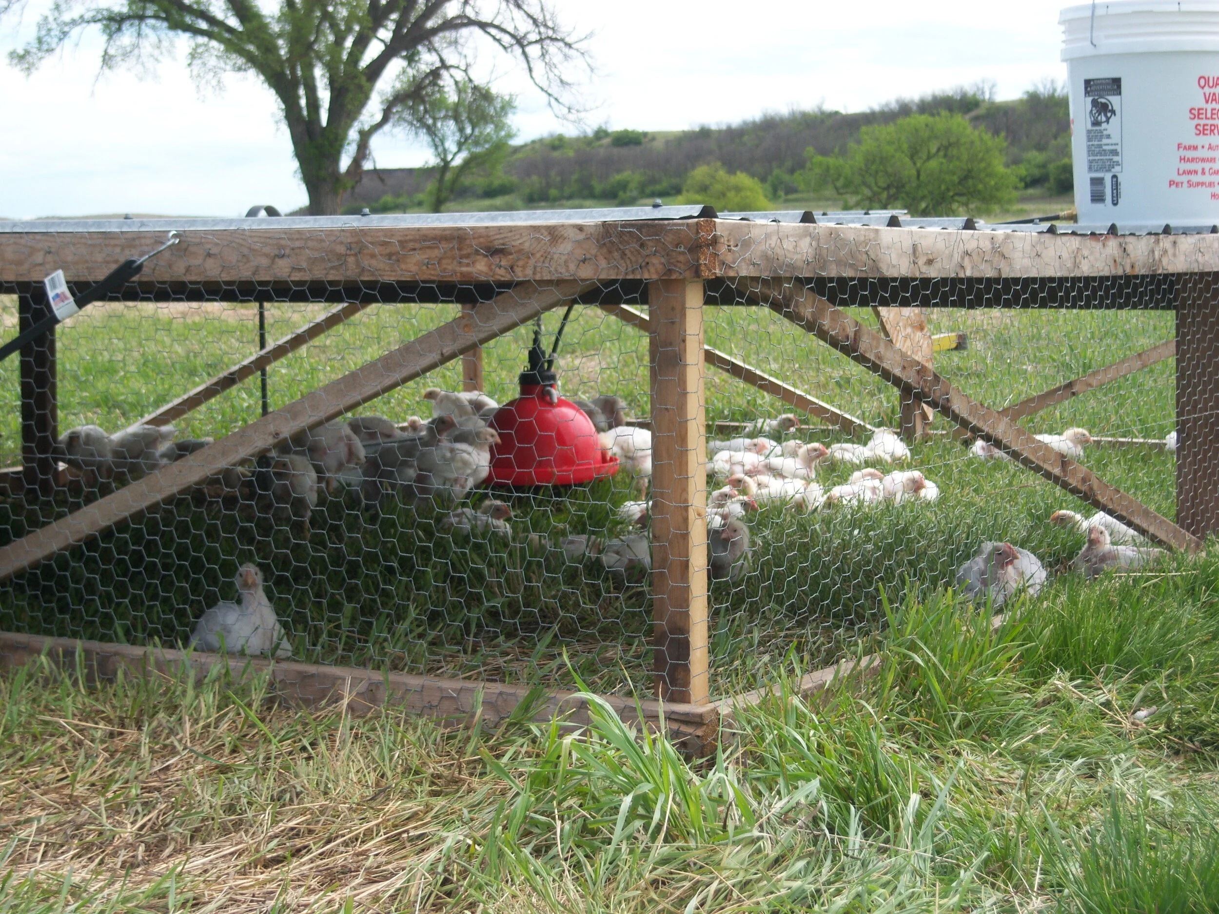 Gallery — Messer Family Farm