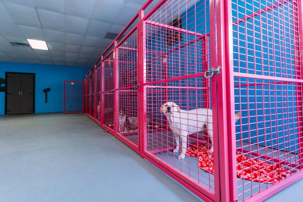 Gallery — The Groom Room Tyler