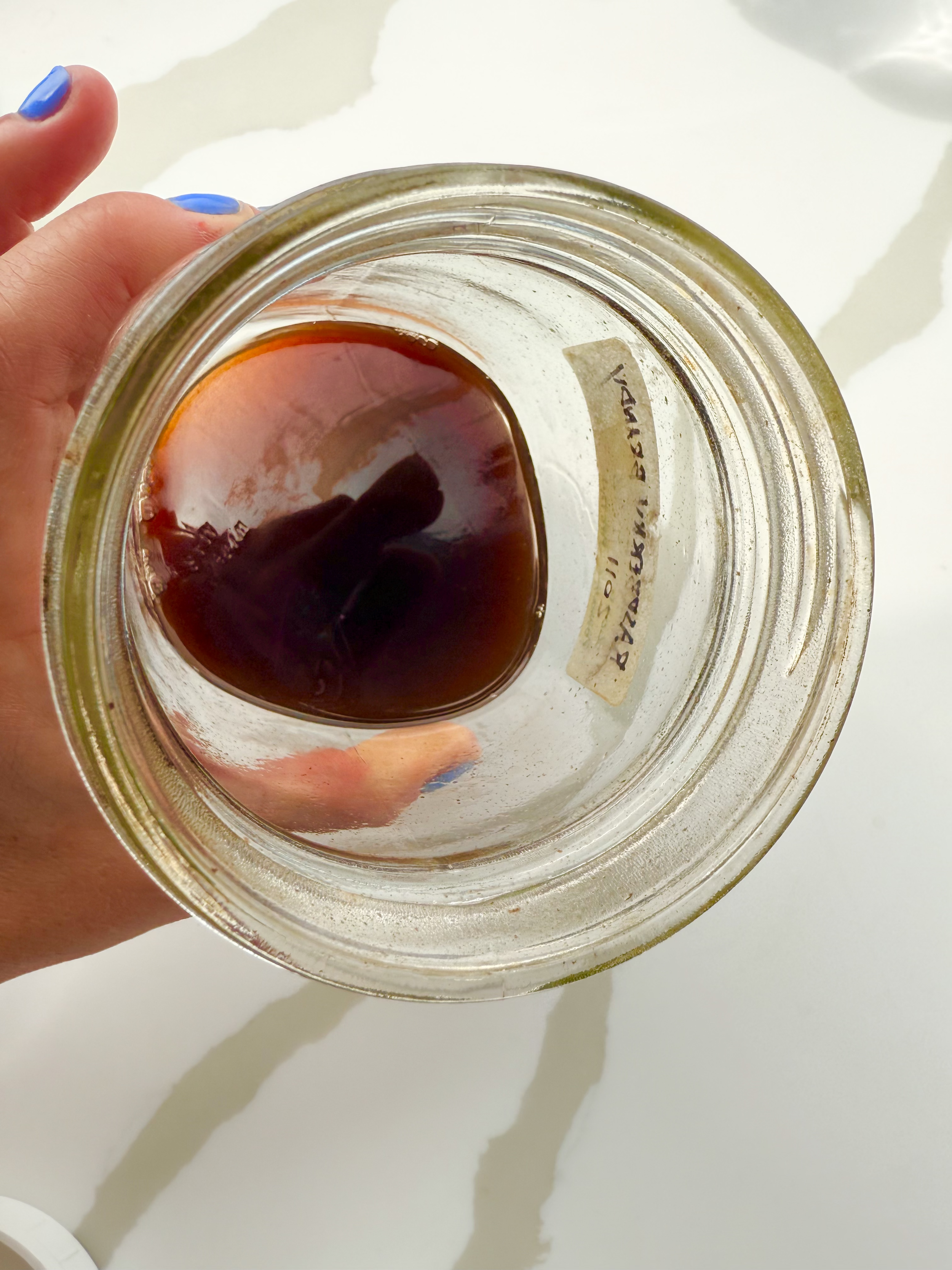How to Preserve Fruit in Alcohol — amy pennington