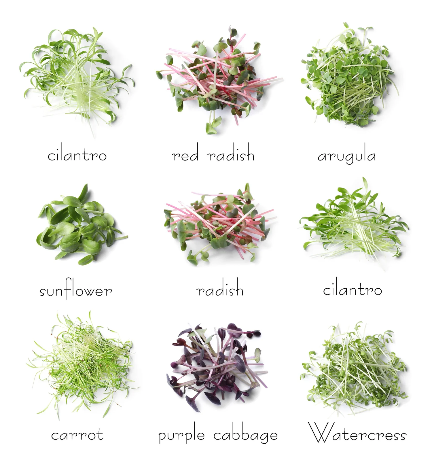 SPROUTS: Windowsill & COuntertop projects — amy pennington