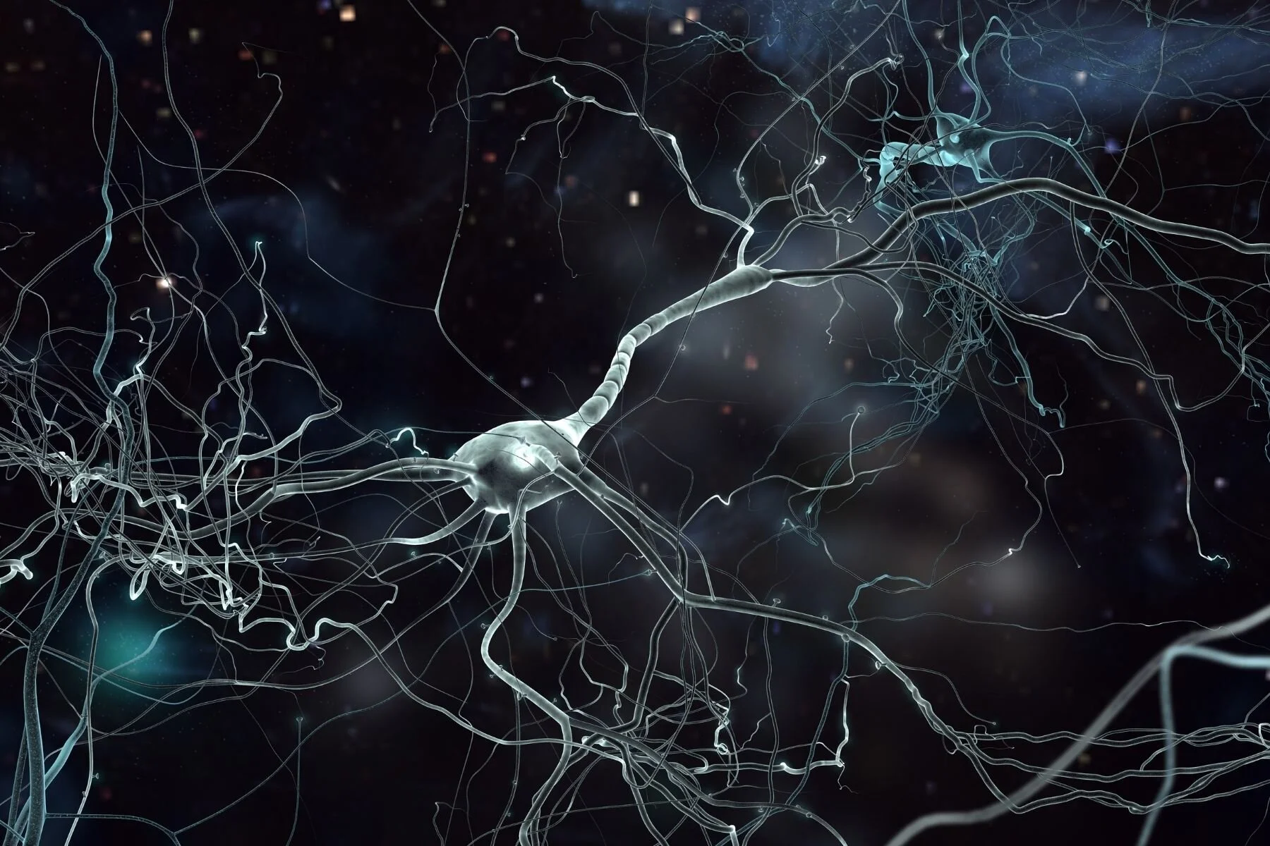 How Ketamine Makes Your Brain “Re-Grow” — Reset Ketamine - Ketamine ...