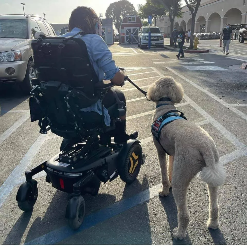 Conditions that Qualify People to Have a Service Dog — Mobility Service ...
