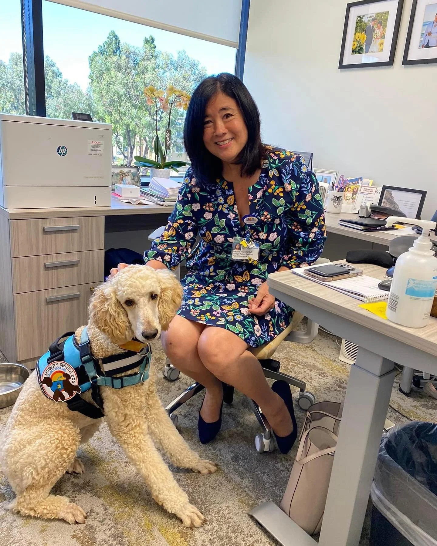 The Logistical, Social and Financial Value of Service Dogs — Mobility ...