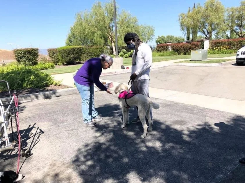 Service Dog Application and Information — Mobility Service Dog - West ...