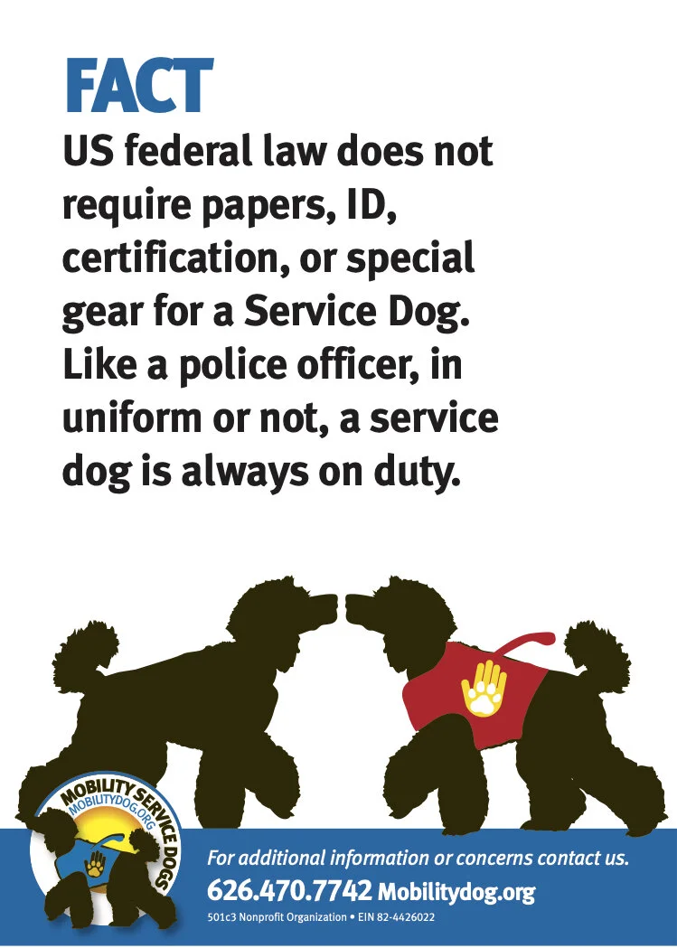 Facts About Service Dogs — Mobility Service Dog - West Coast Project