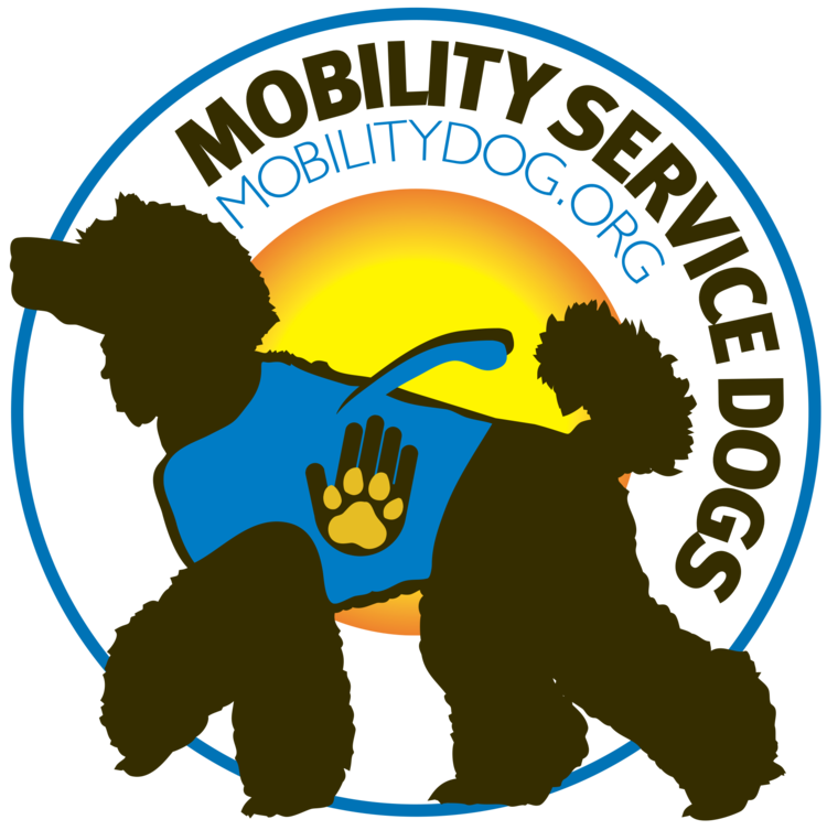 What Is a Mobility Assistance Dog? Everything You Need to Know ...